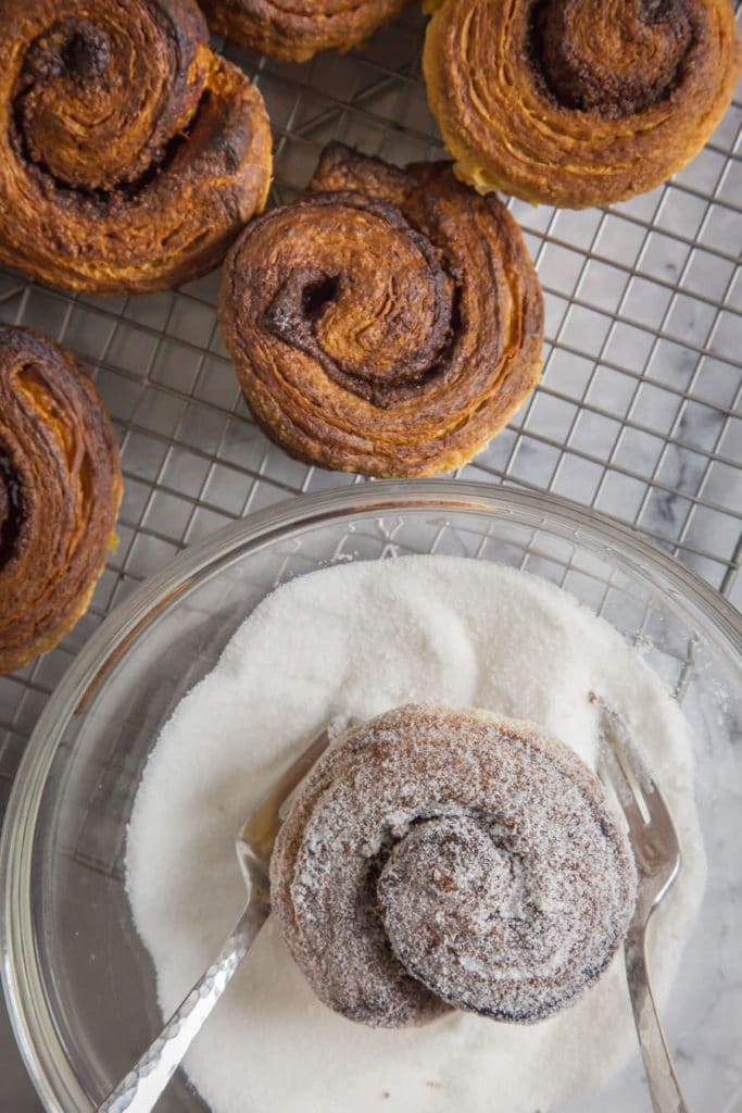 Pumpkin Spice Morning Buns | Pumpkin Morning Buns | Eat the Love